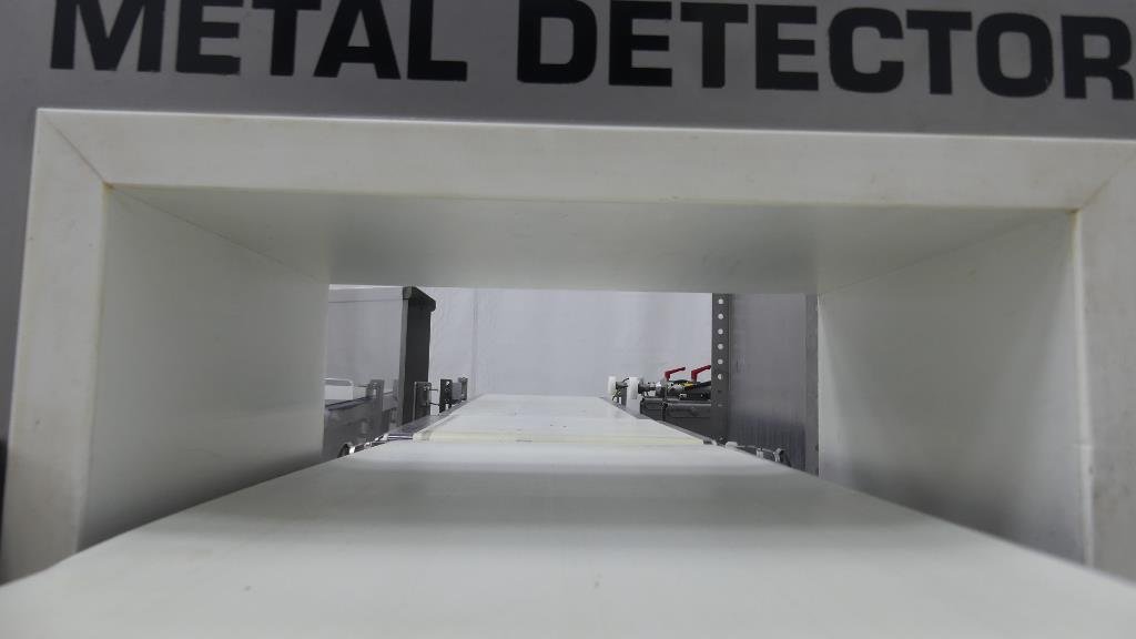 Used Genius Bizerba Checkweigher w Integrated Metal Detector