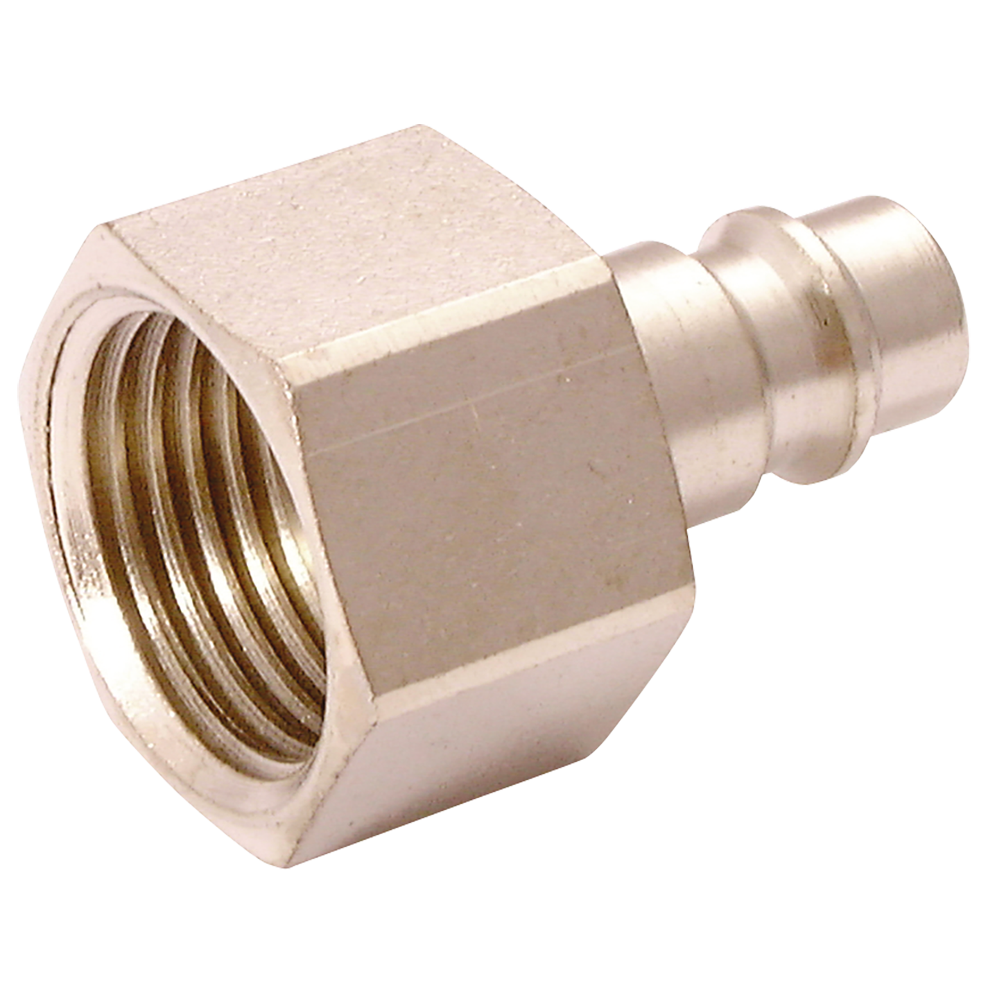 1 4 FEMALE PLUG BSPP Shepherd Hydraulics 1 4 FEMALE PLUG BSPP Shepherd Hydraulics