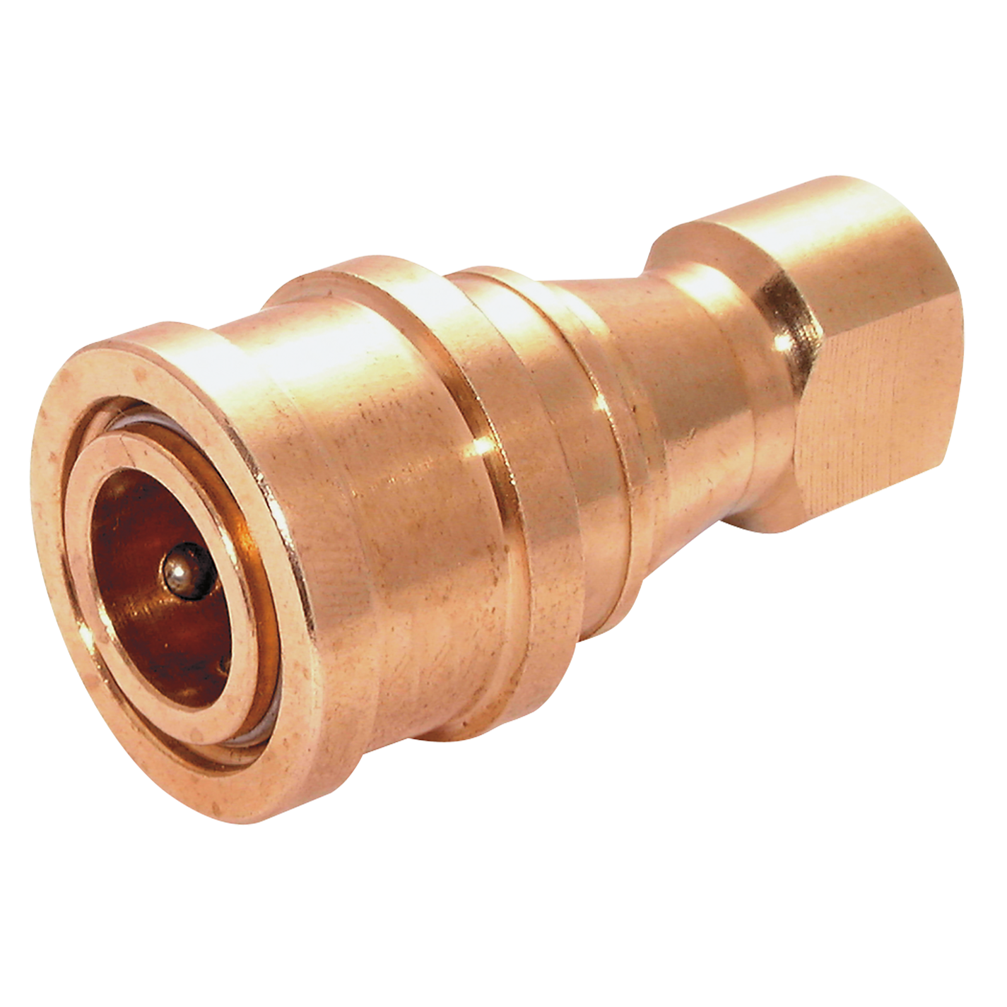 1 BSP Parallel Female Coupling Hydair