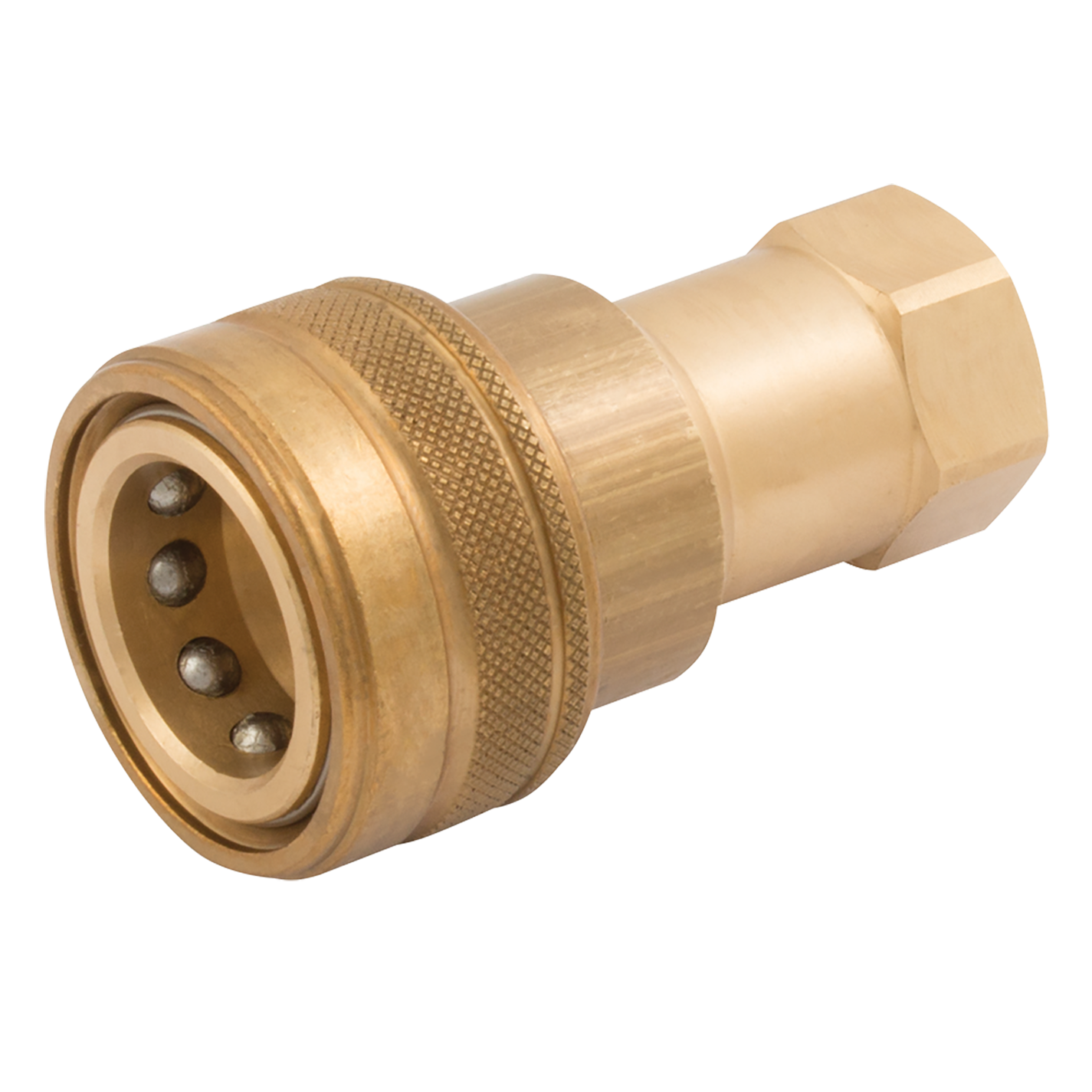 1 BSP Parallel Female Coupling Shepherd Hydraulics