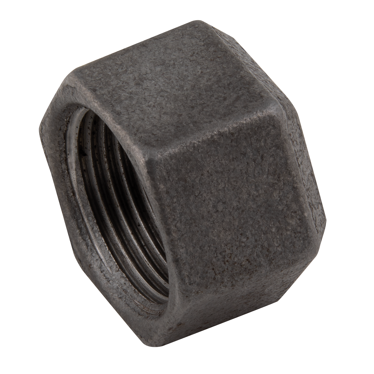 EE-3 FEM BSPP CAP (BLACK) / Plugs and Caps / Fittings and Tubing / Ring ...