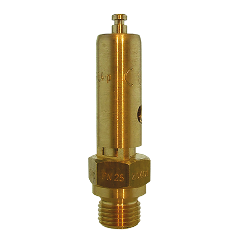 Pressure Relief Valve 1/4" BSPP set @ 11.0 bar / Pressure Relief Valve ...