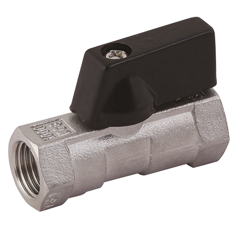 3/8"BSPF 316SS Mini Valve / Stainless Steel Ball Valve / Ball Valves ...