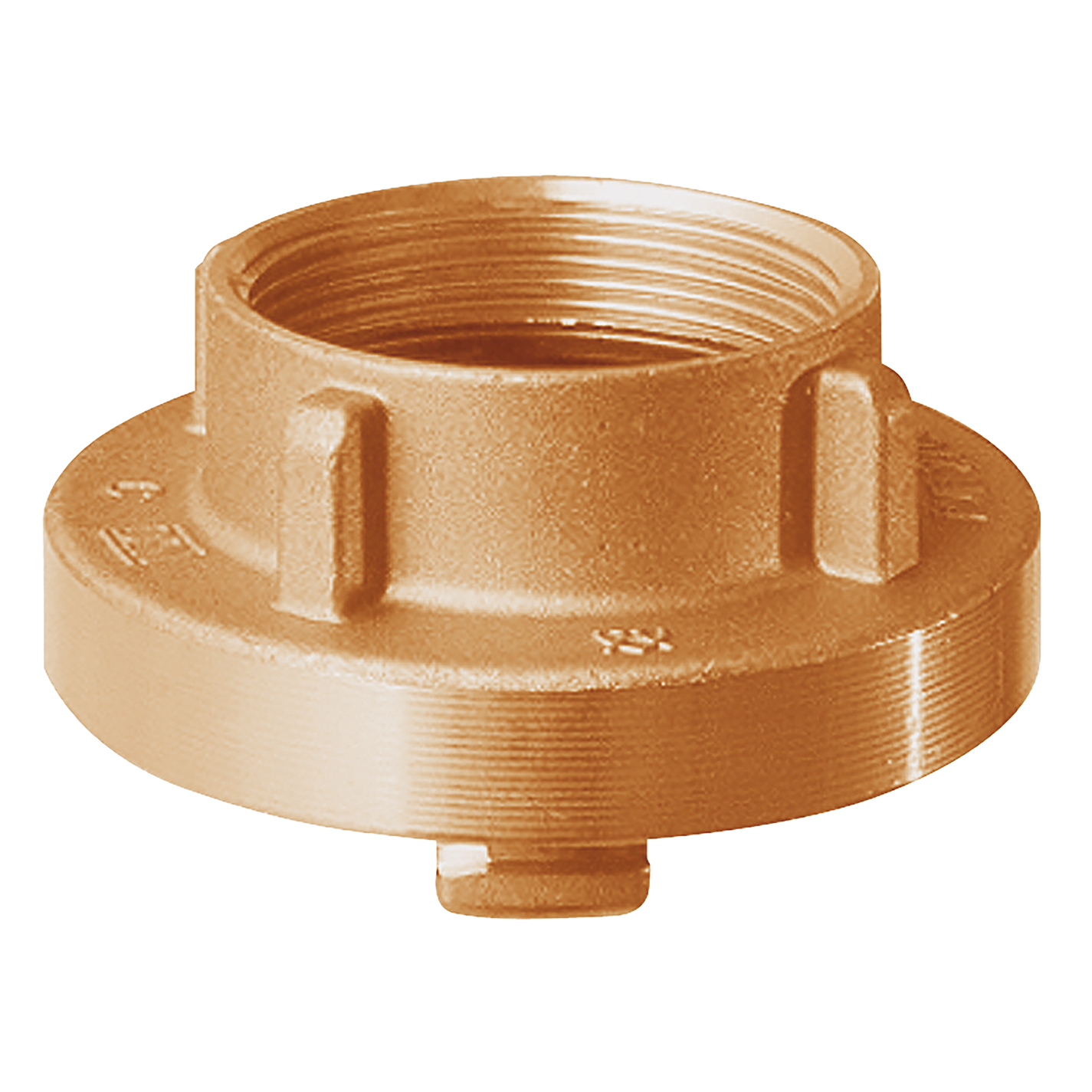 BRASS STORZ 65 KA81MM 2" BSP FEM | Shepherd Hydraulics