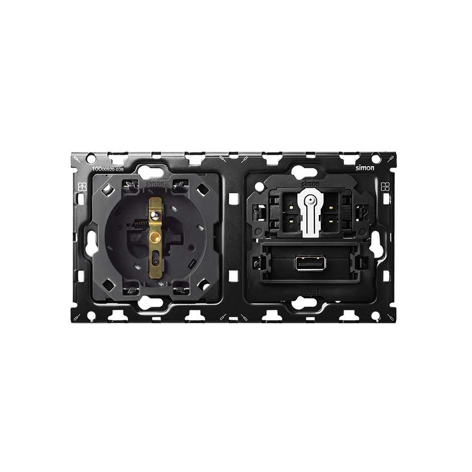 Back kit for 2 elements with 1 2P+E socket, 1 changeover switch and 1 2 ...