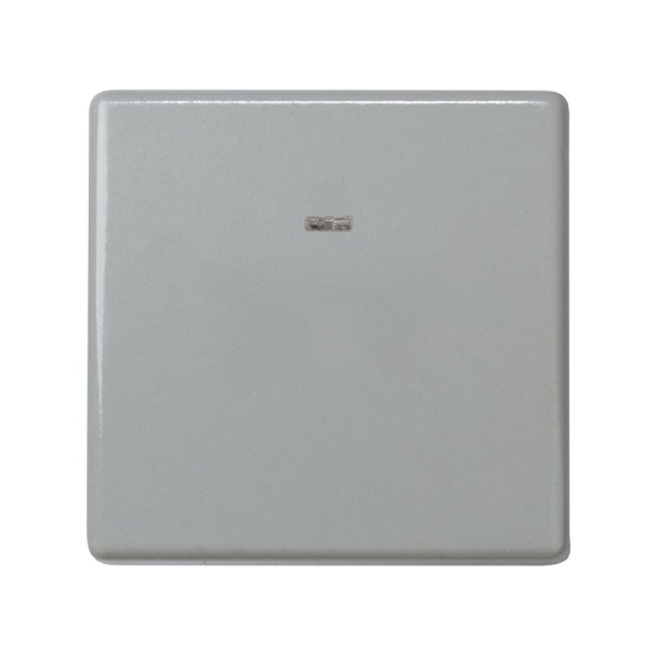 2-way switch 10AX 250V~ with built-in light indicator and fast terminal ...