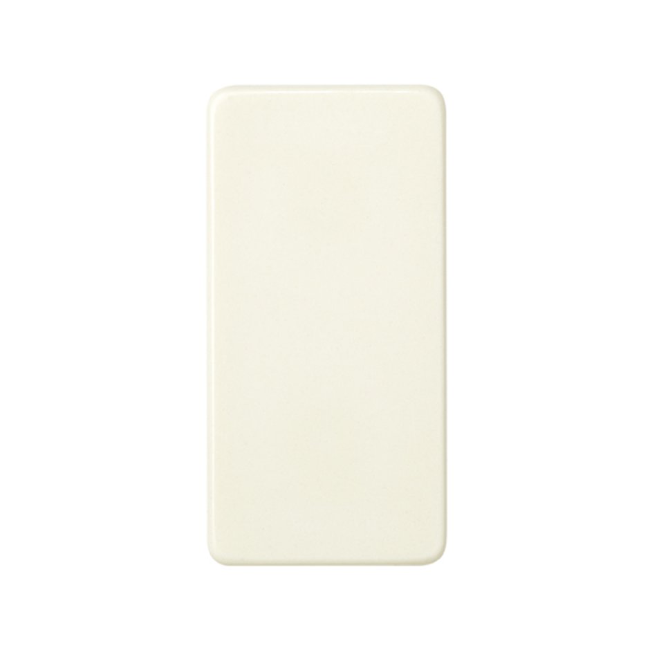 Neutral push-button switch 10A 250V~ for half element with fast ...