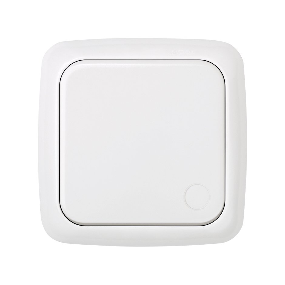 Neutral push-button switch 10AX 250V~ with housing for pictogram and ...