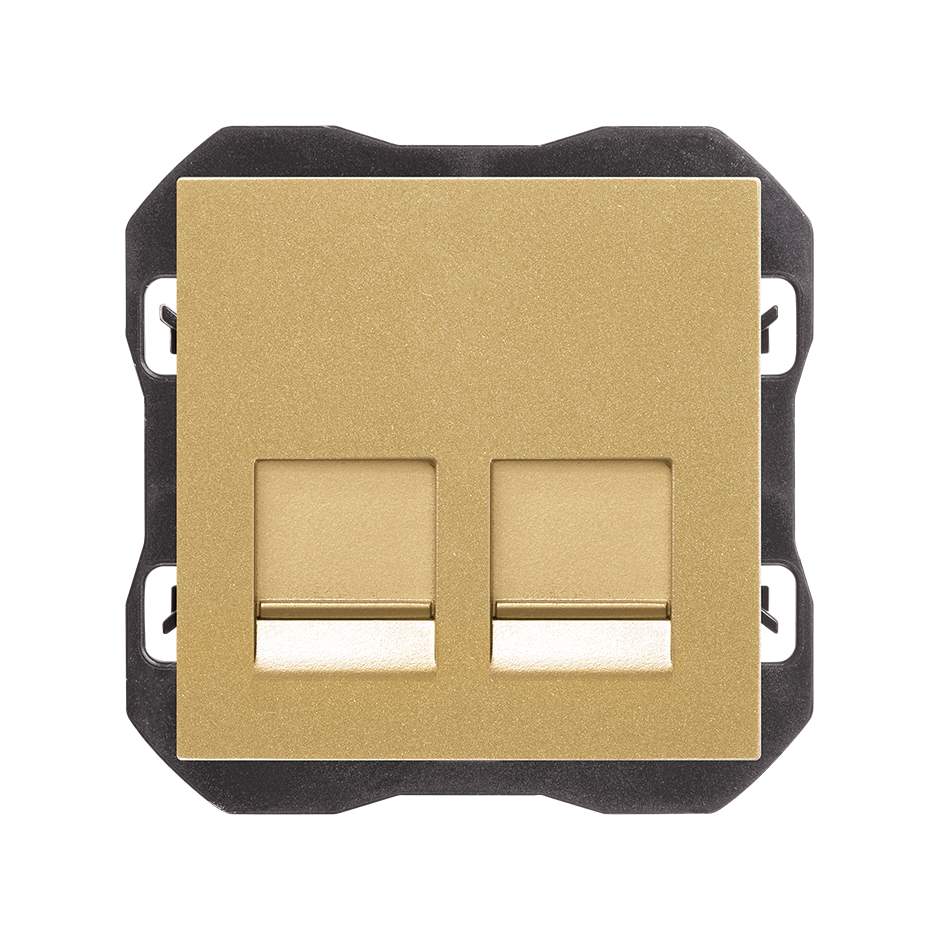 Flat voice and data cover with dust cover and 2 RJ45 connectors gold ...