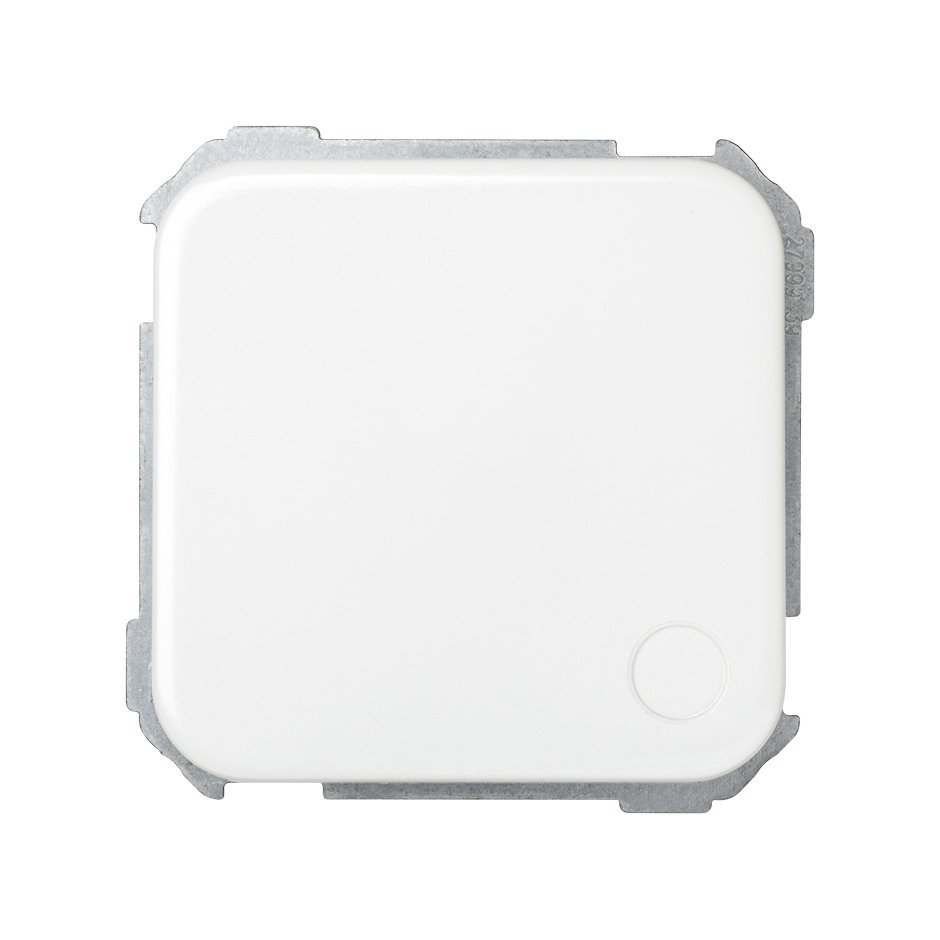 Neutral push-button switch 10AX 250V~ with housing for pictogram and ...