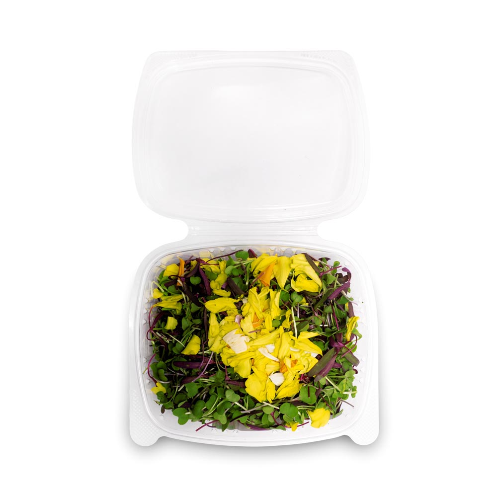 Micro Chefs Blend